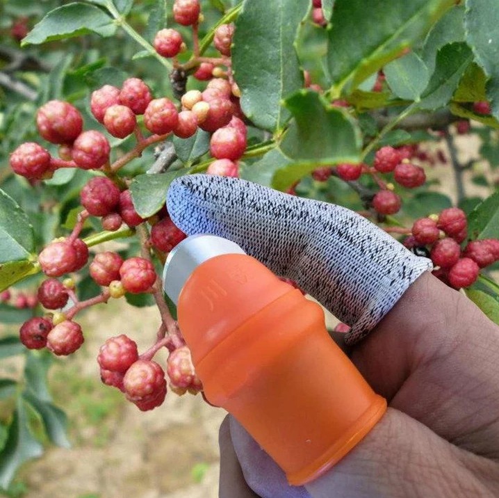 US$ 18.88 - Multi-Purpose Thumb Knife - www.maicei.com